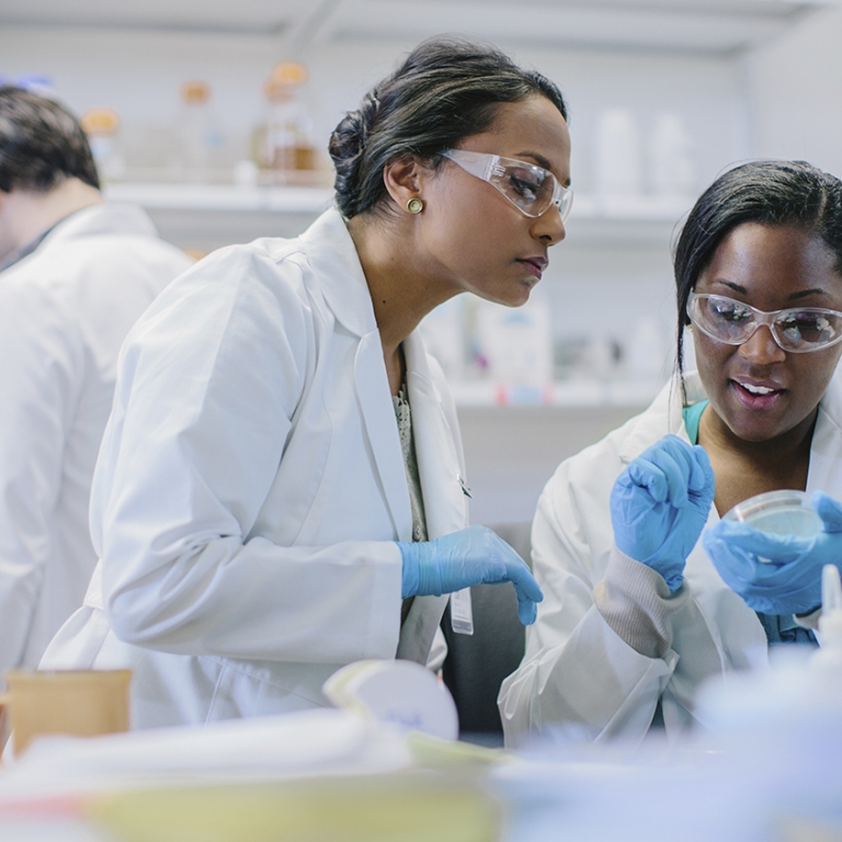 NYC Metro Now Tops All Other Regions in U.S. for Life Sciences Jobs and ...